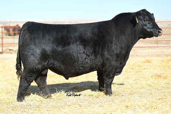 Basinsafe About Eastern Tule GSA